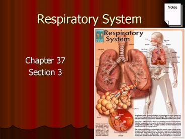 Respiratory System presentation | free to view