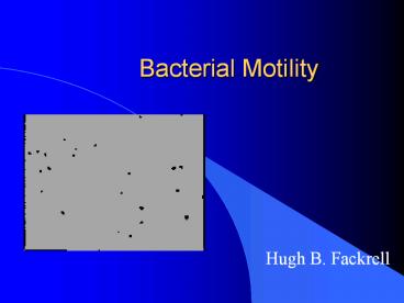 Bacterial Motility presentation | free to download