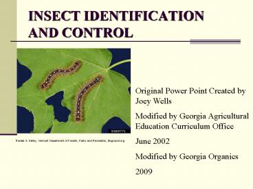 PPT – INSECT IDENTIFICATION AND CONTROL PowerPoint presentation | free ...