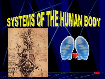 PPT – SYSTEMS OF THE HUMAN BODY PowerPoint presentation | free to ...