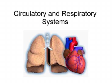 Circulatory and Respiratory Systems presentation | free to view
