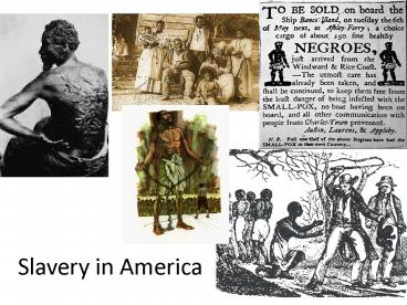 Slavery in America presentation | free to view