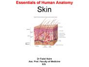 PPT – The Anatomy of the Integumentary System-Skin PowerPoint ...