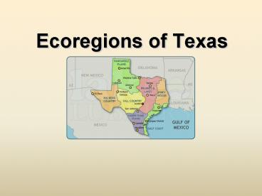 PPT – Ecoregions of Texas PowerPoint presentation | free to view - id ...