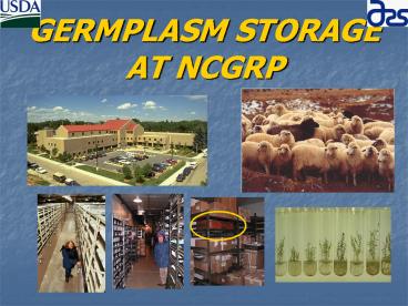 GERMPLASM STORAGE AT NCGRP presentation | free to view