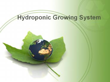 PPT – Beautiful Hydroponic Growing System PowerPoint presentation ...