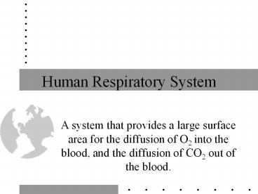 PPT – Human Respiratory System PowerPoint presentation | free to ...