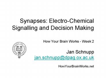 Synapses: Electro-Chemical Signalling and Decision Making presentation ...