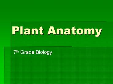 Plant Anatomy presentation | free to view
