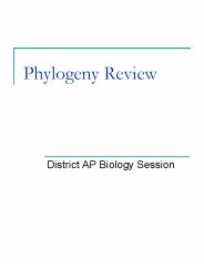 PPT – Overview of Green Plant Phylogeny PowerPoint presentation | free ...