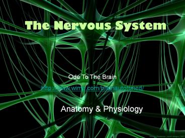 PPT – The Nervous System PowerPoint presentation | free to download ...