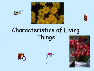 Characteristics of Living Things presentation | free to view