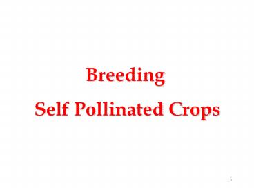 PPT – Breeding PowerPoint presentation | free to view - id: 60b439-ZGNkM
