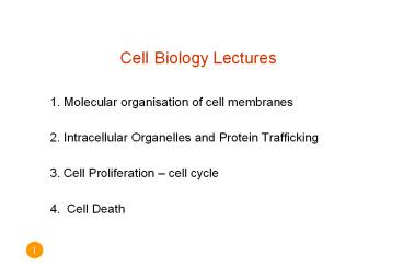 PPT – Cell Biology Lectures PowerPoint presentation | free to view - id ...