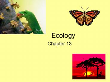 PPT – Ecology PowerPoint presentation | free to view - id: 60dede-NDQ1Y