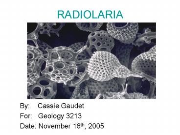 PPT – RADIOLARIA PowerPoint presentation | free to view - id: 60e6bf-NWVjZ