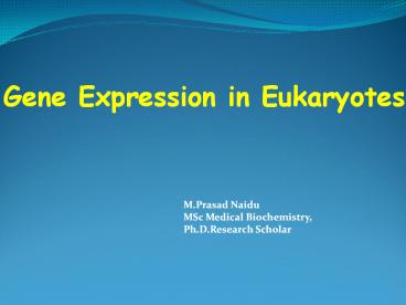 Gene Expression in Eukaryotes presentation | free to download