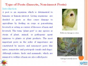 Different type of pest.......... presentation | free to download