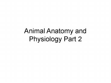 PPT – Animal Anatomy and Physiology Part 2 PowerPoint presentation ...