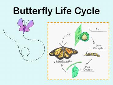 PPT – Life Cycles PowerPoint presentation | free to download - id ...