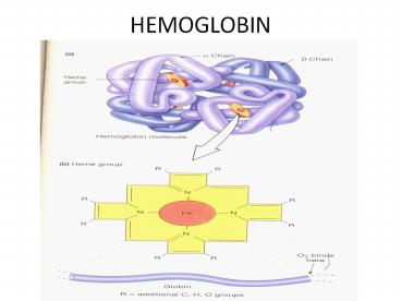 HEMOGLOBIN presentation | free to download