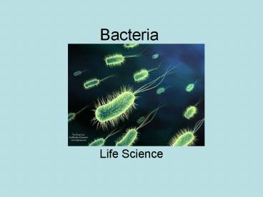 PPT – Bacteria PowerPoint presentation | free to download - id: 65580b ...