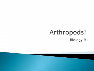PPT – Arthropods! PowerPoint presentation | free to download - id ...