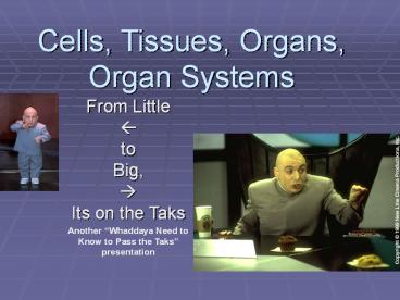 Ppt Cells Tissues Organs And Systems Powerpoint A Guide To The