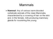 PPT – Mammals PowerPoint presentation | free to view - id: 6392e-YWMwY