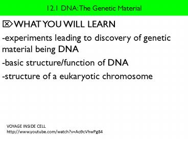 12.1 DNA: The Genetic Material presentation | free to view