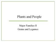 PPT – Morphology of Flowering Plants PowerPoint presentation | free to ...