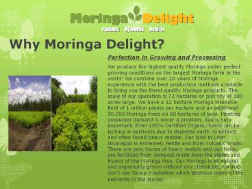 Moringa powder benefits presentation | free to download