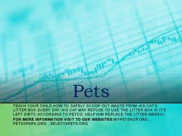 PPT – Pets PowerPoint presentation | free to download - id: 6635da-ZTI0M