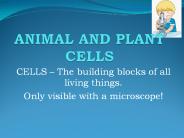 PPT – Animal Cells and Plant Cells PowerPoint presentation | free to ...