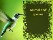 PPT – How Are Plants and Animals Different? PowerPoint presentation ...