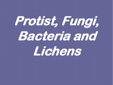 PPT – Protist, Fungi, Bacteria and Lichens PowerPoint presentation ...