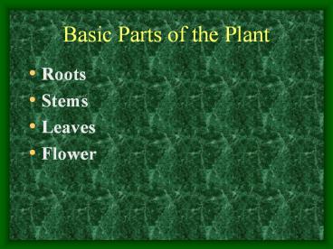 Basic Parts of the Plant presentation | free to download