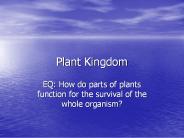 PPT – The Plant Kingdom PowerPoint presentation | free to view - id ...