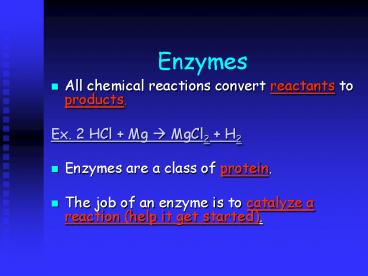 Enzymes presentation | free to download