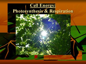 Cell Energy: Photosynthesis presentation | free to download