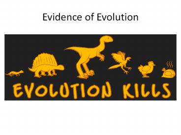 PPT – Evidence of Evolution PowerPoint presentation | free to view - id ...
