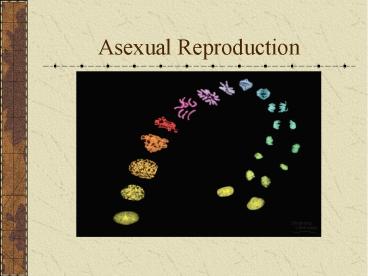 Asexual Reproduction presentation | free to download