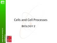 PPT – Animal Cells and Plant Cells PowerPoint presentation | free to ...