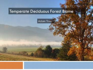 Temperate Deciduous Forest Biome presentation | free to view