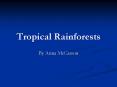 PPT – Tropical Rainforest PowerPoint presentation | free to view - id: 12e61c-ODNlZ