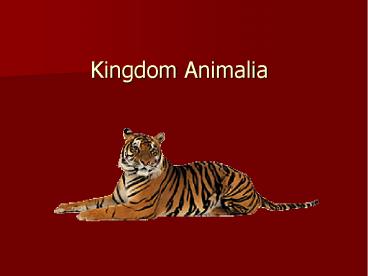 PPT – Kingdom Animalia PowerPoint presentation | free to download - id ...