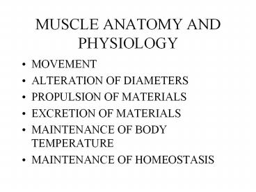 MUSCLE ANATOMY AND PHYSIOLOGY presentation | free to download