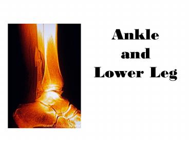 Ankle and Lower Leg presentation | free to download