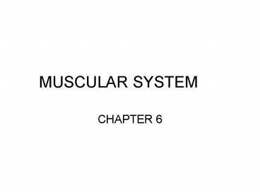 MUSCULAR SYSTEM presentation | free to download