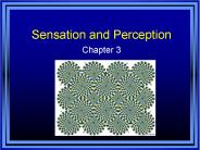 PPT – La Perception PowerPoint presentation | free to download - id ...